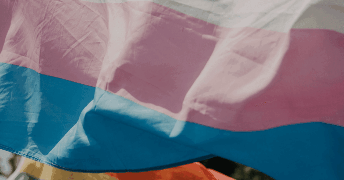 Trans hub | Stonewall UK